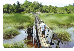 ASEAN Biodiversity Updates
