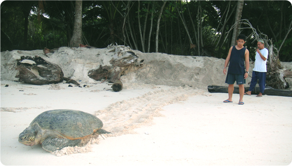 ASEAN Biodiversity Updates