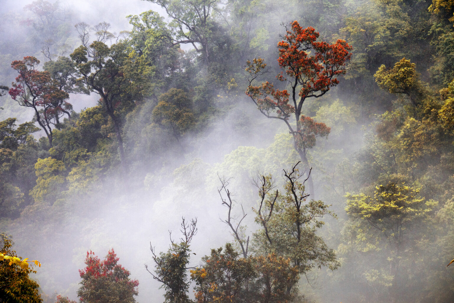 Biodiversity and Climate Change Project - ASEAN Centre for Biodiversity