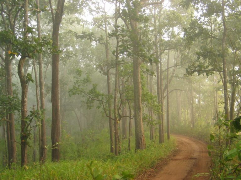 Tasek Merimbun Heritage Park - ASEAN Centre for Biodiversity