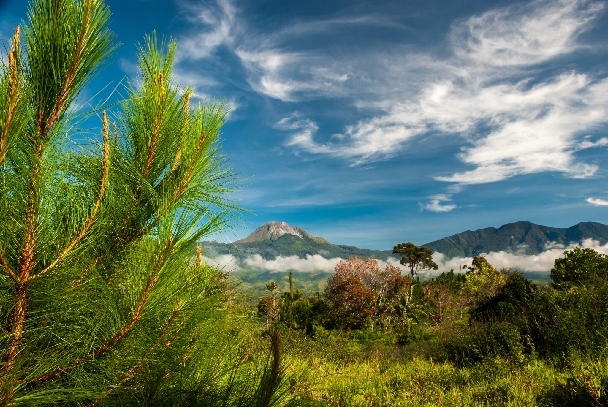 Mount Makiling Forest Reserve - ASEAN Centre for Biodiversity