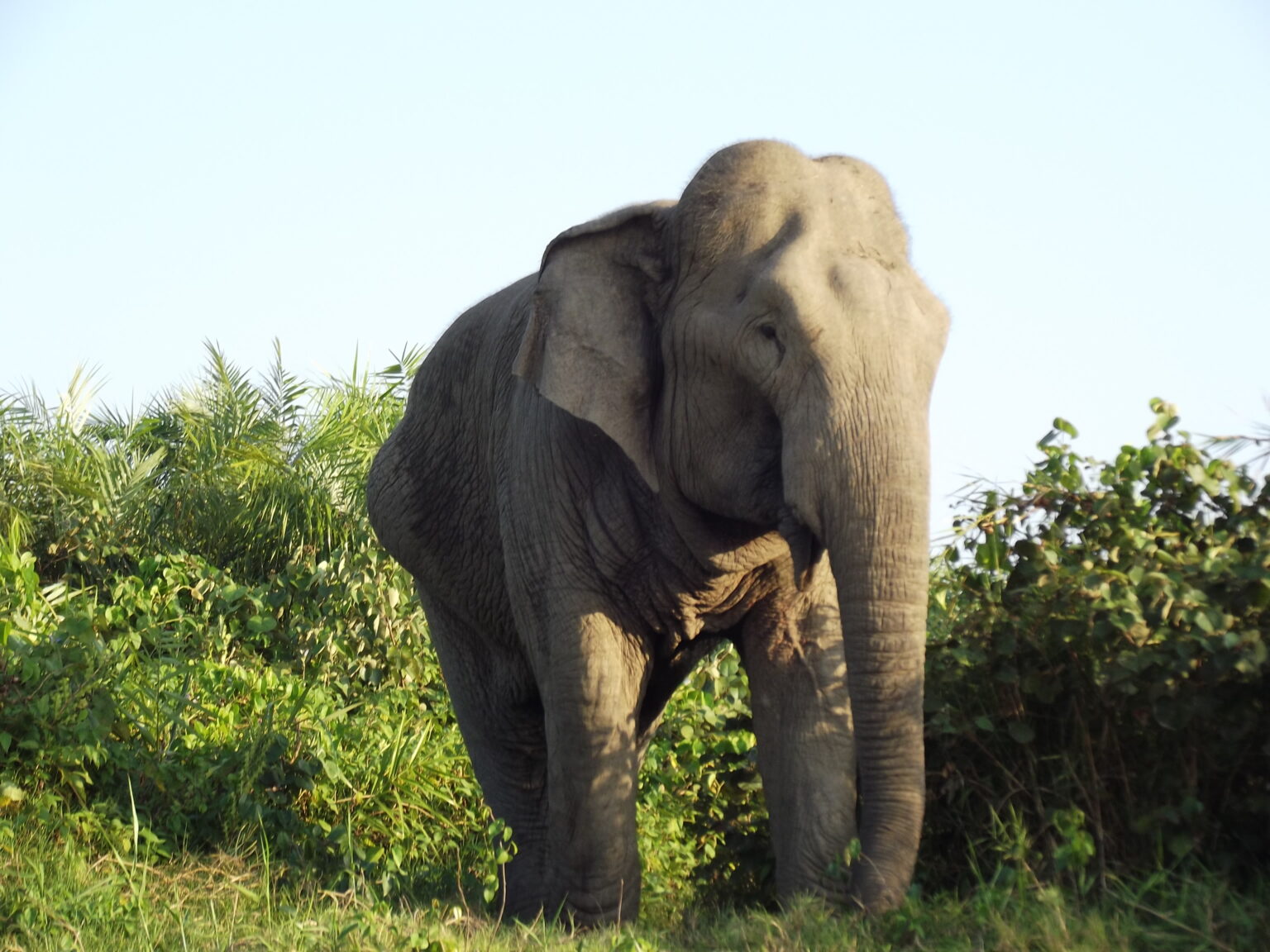 Tasek Merimbun Heritage Park - ASEAN Centre for Biodiversity