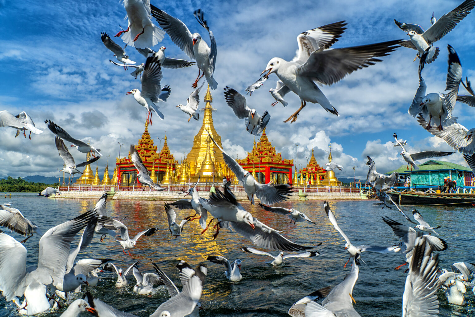 Mount Hamiguitan Range Wildlife Sanctuary - ASEAN Centre for Biodiversity