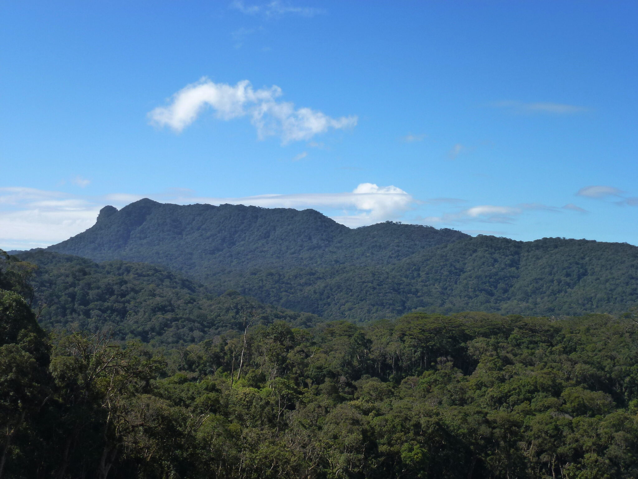 Tasek Merimbun Heritage Park - ASEAN Centre for Biodiversity
