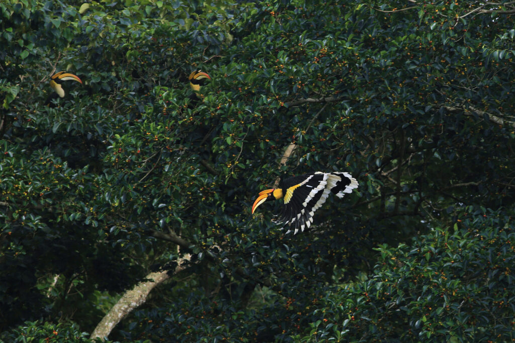 Mount Inayawan Range Natural Park - ASEAN Centre for Biodiversity