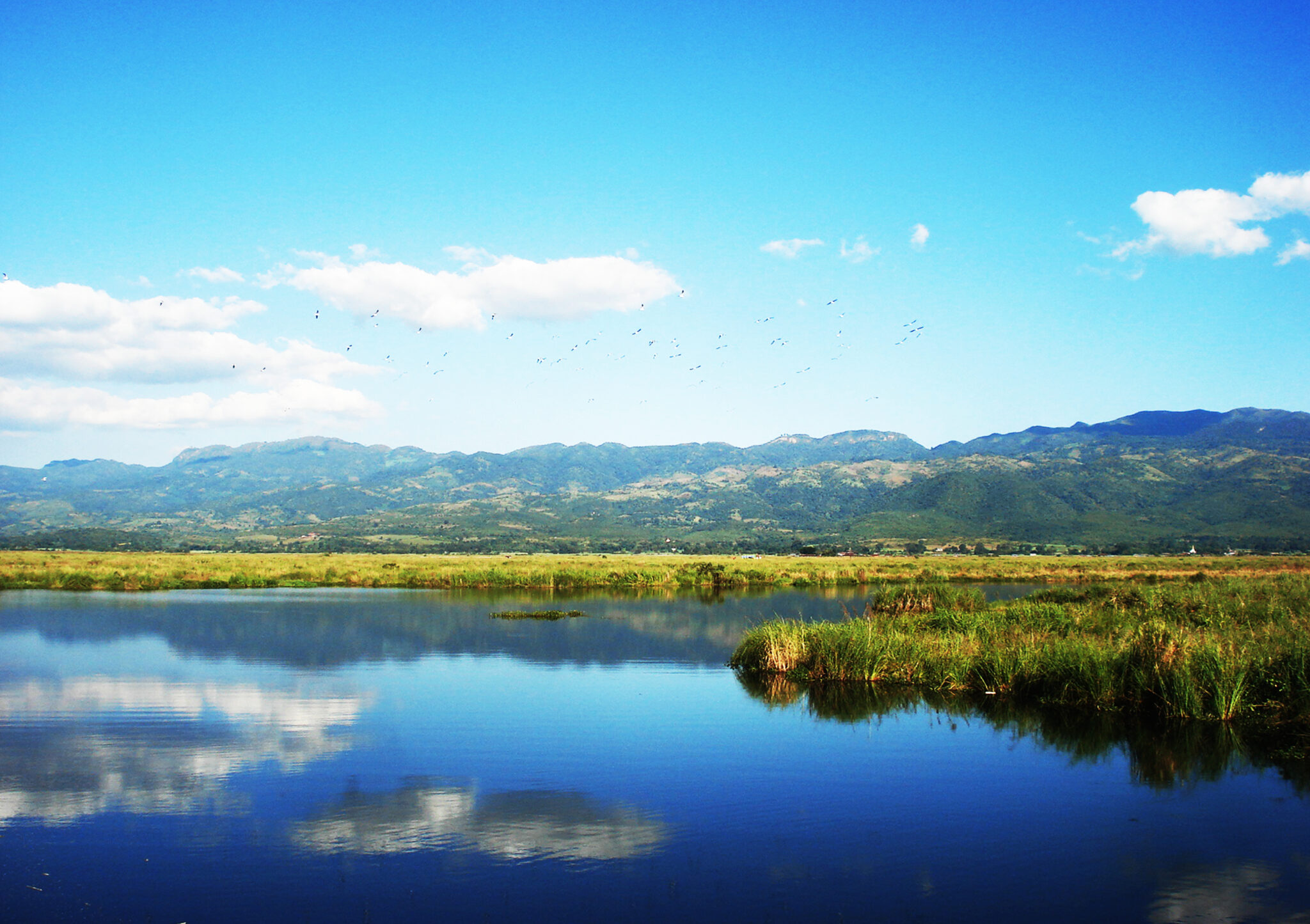 Mts. Timpoong-Hibok-Hibok Natural Monument - ASEAN Centre for Biodiversity