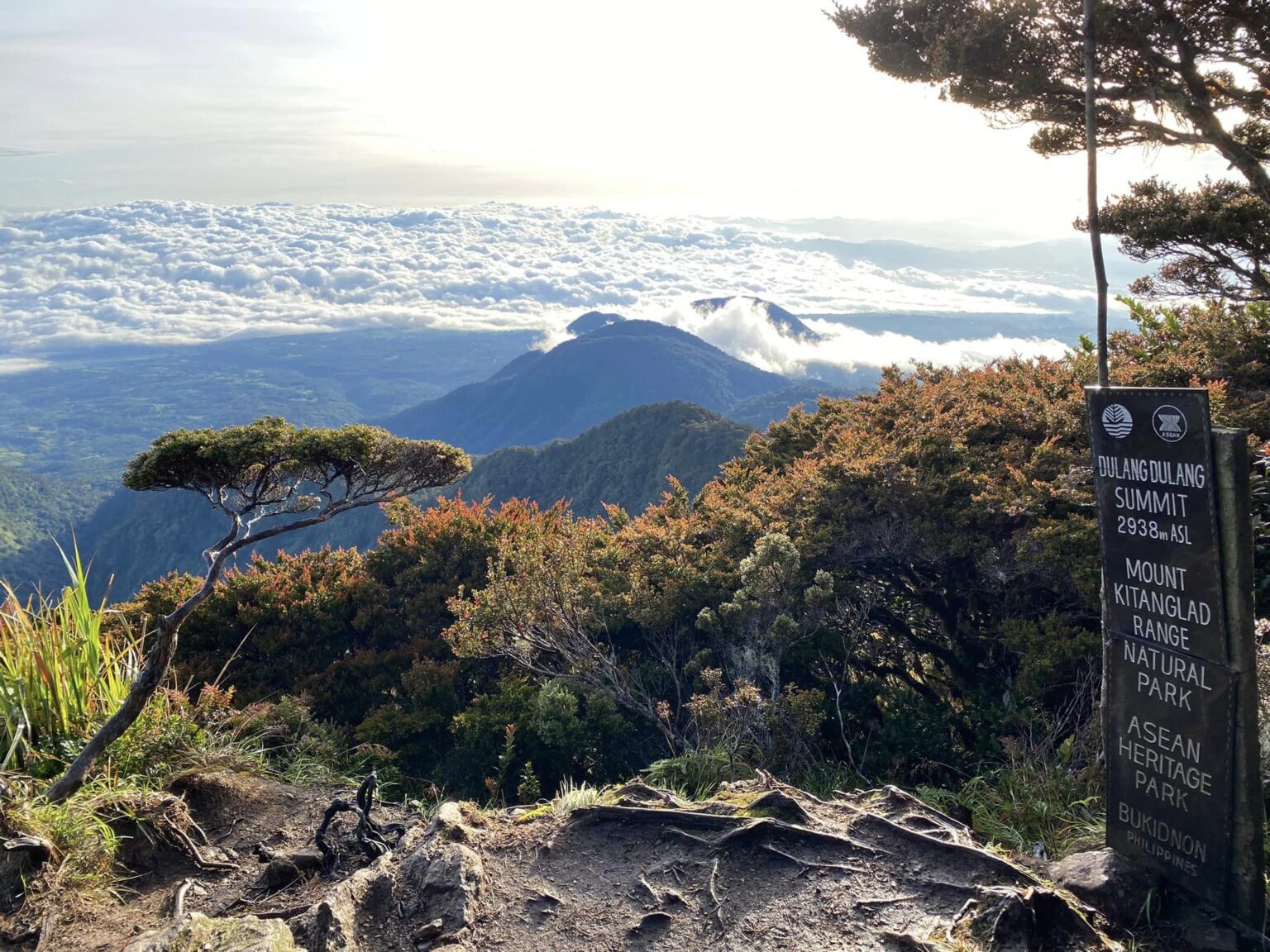 Mts. Iglit-Baco National Park - ASEAN Centre for Biodiversity
