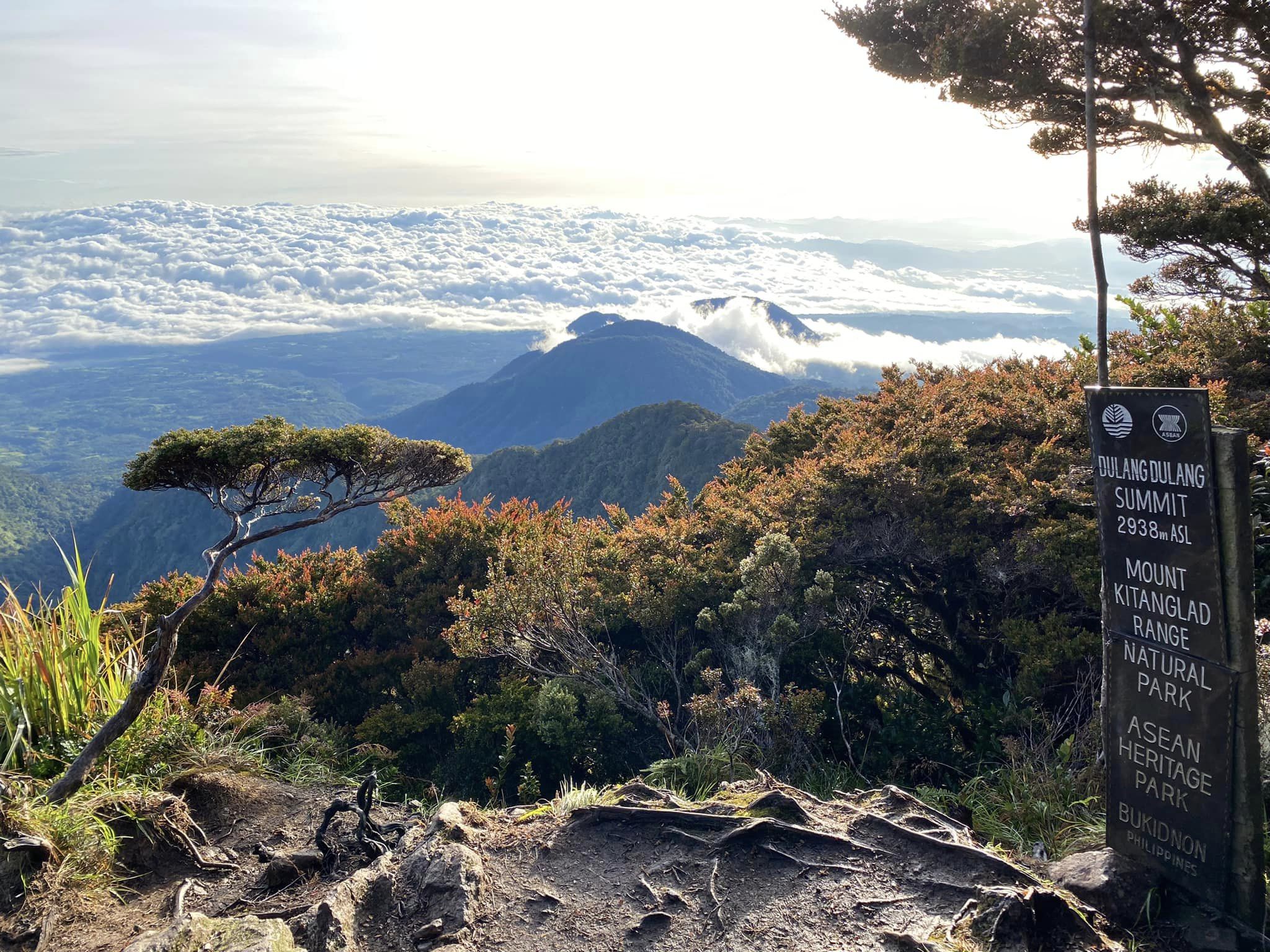 Mt. Kitanglad Range NaturaI Park - ASEAN Centre for Biodiversity