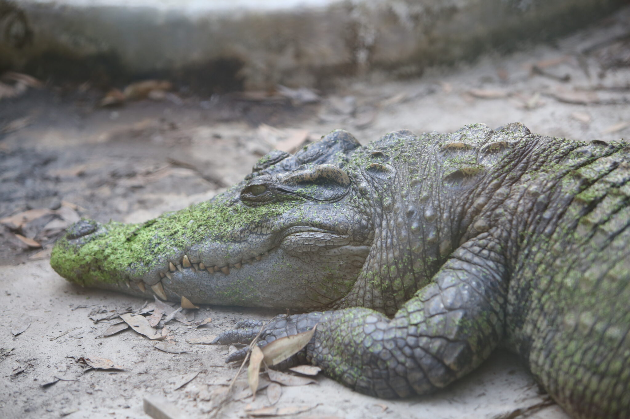 Pasonanca Natural Park - ASEAN Centre for Biodiversity