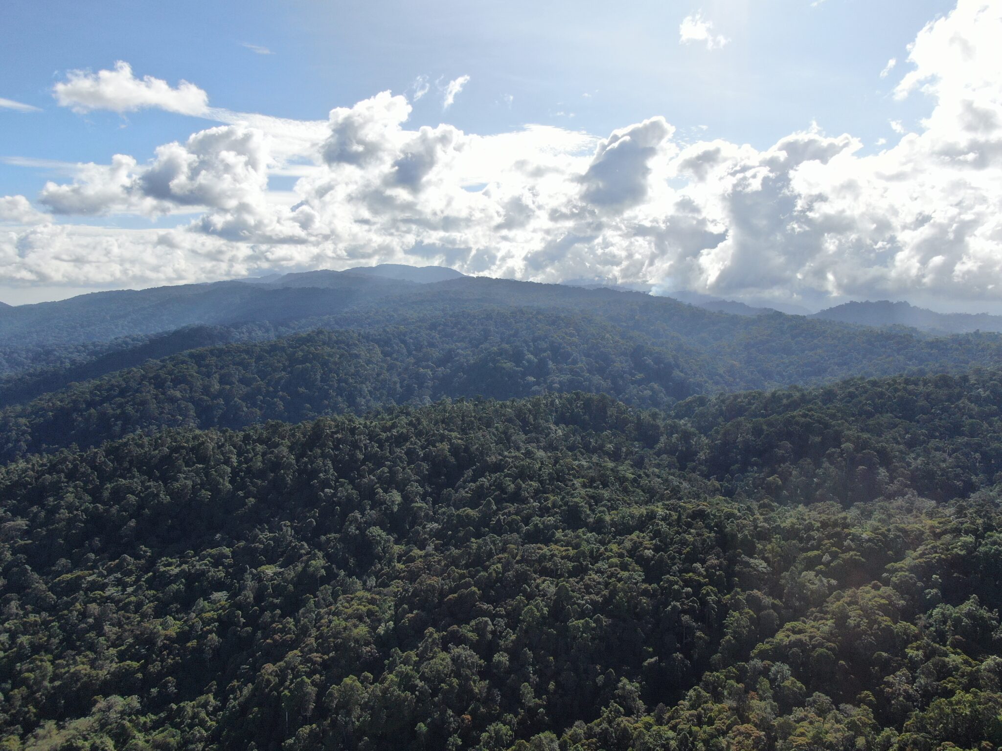 Mt. Kitanglad Range NaturaI Park - ASEAN Centre for Biodiversity