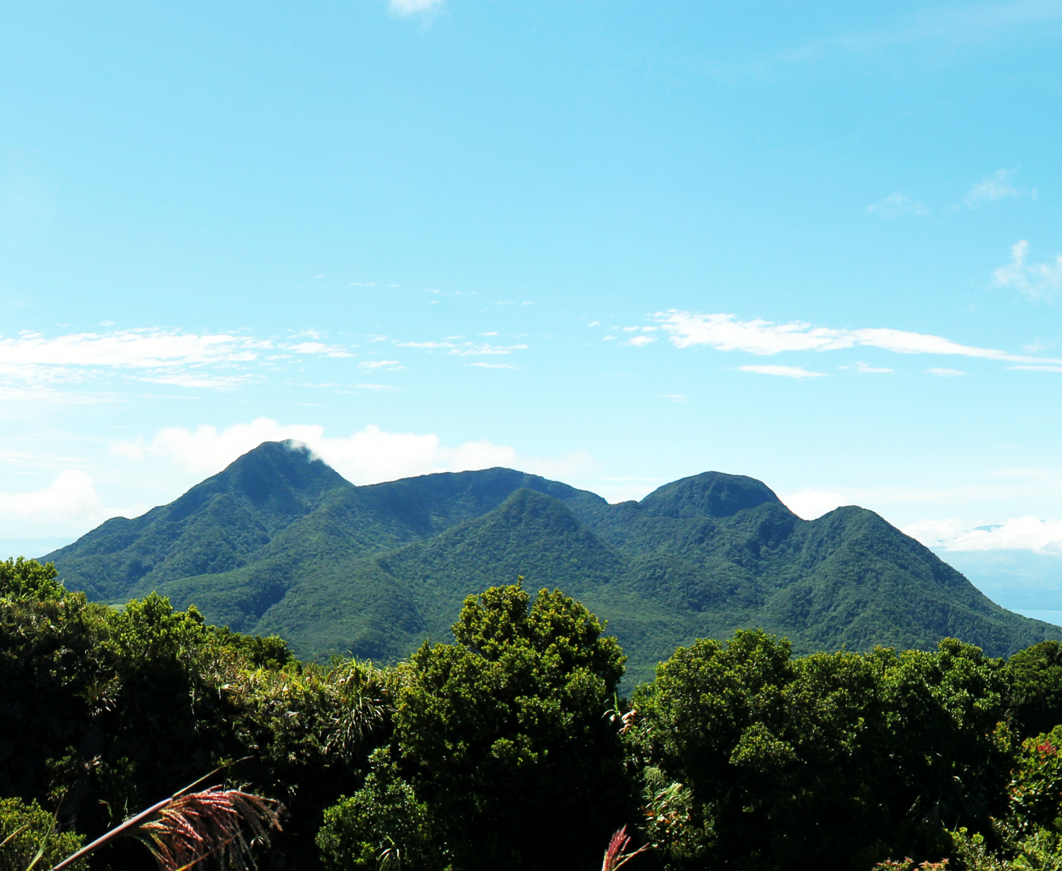 Mts. Iglit-Baco National Park - ASEAN Centre for Biodiversity