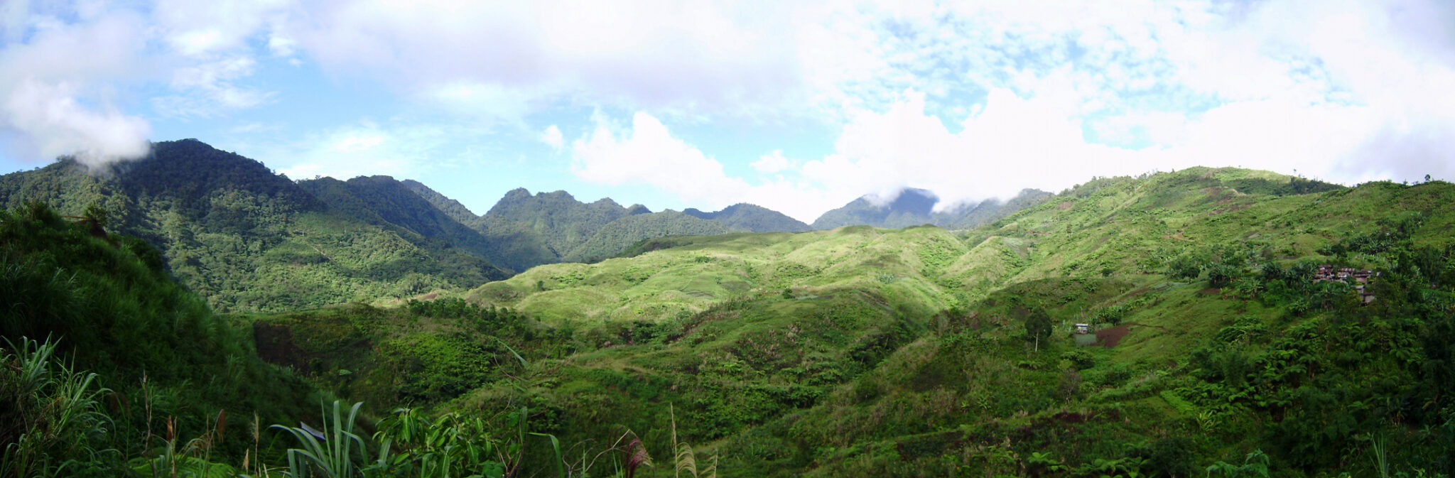 Mt. Kitanglad Range NaturaI Park - ASEAN Centre for Biodiversity