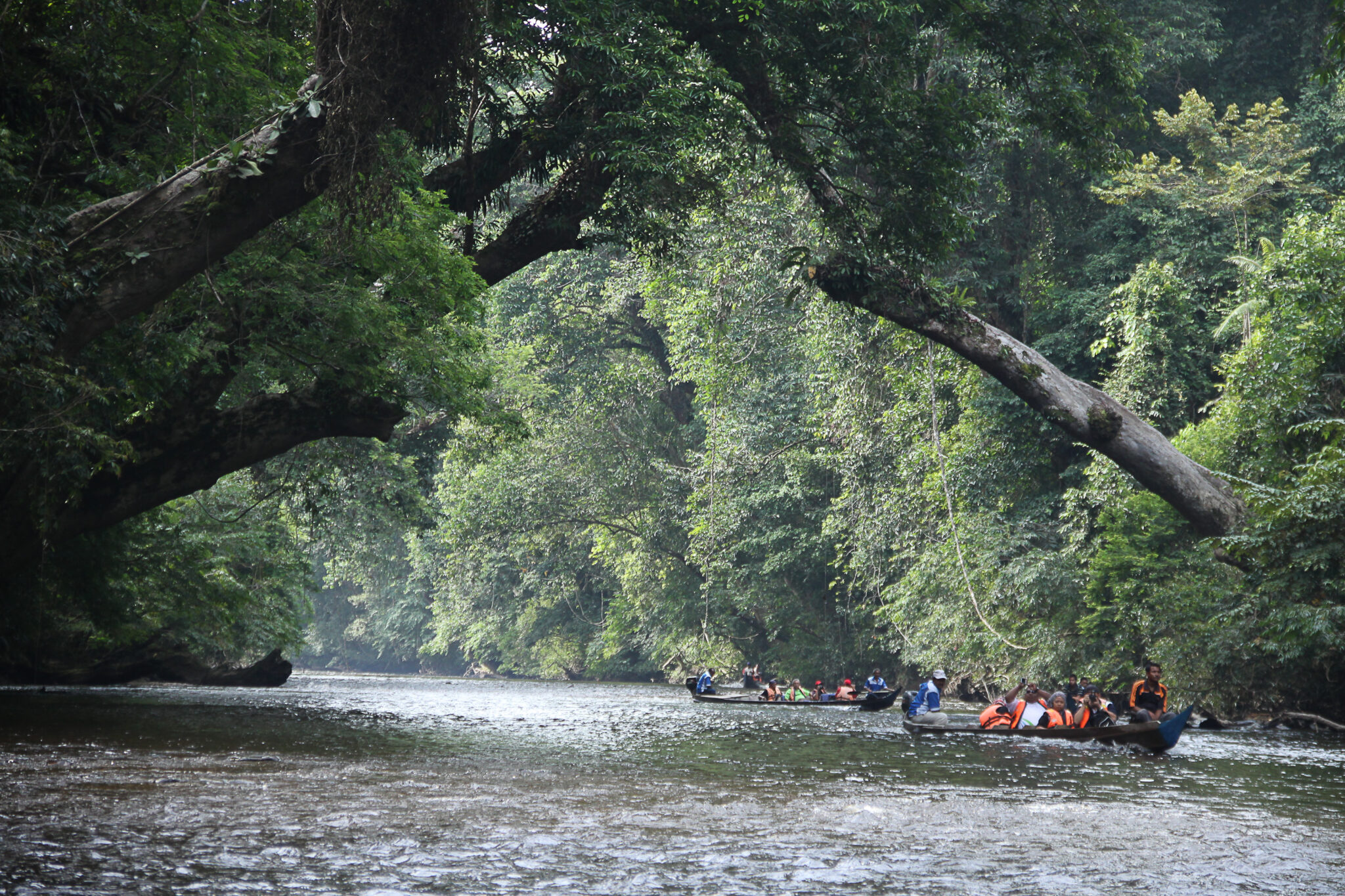 Mount Inayawan Range Natural Park - ASEAN Centre for Biodiversity
