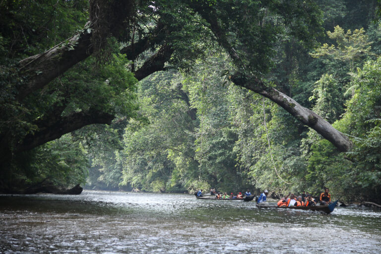 Mount Inayawan Range Natural Park - ASEAN Centre for Biodiversity