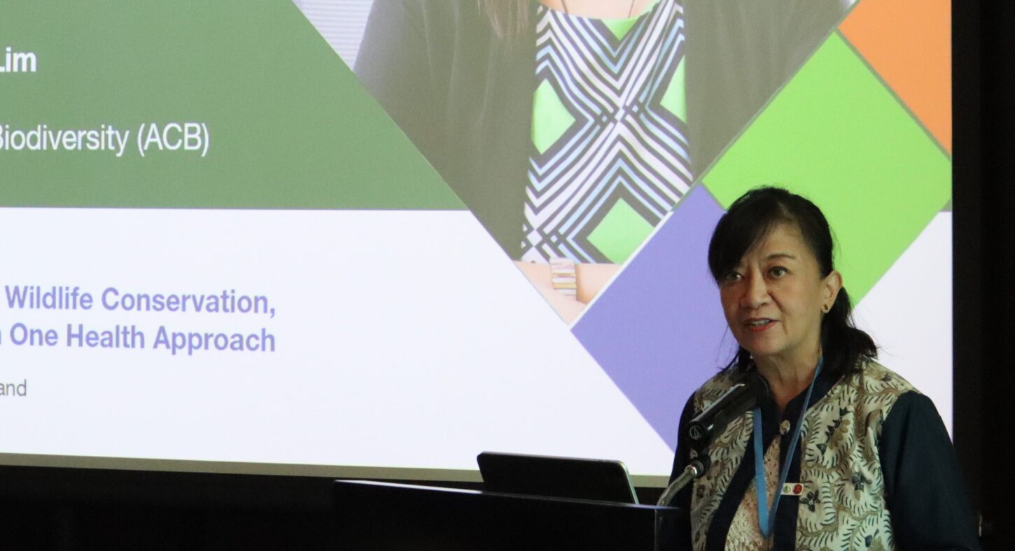 Institutional Strengthening of the Biodiversity Sector in the ASEAN ...