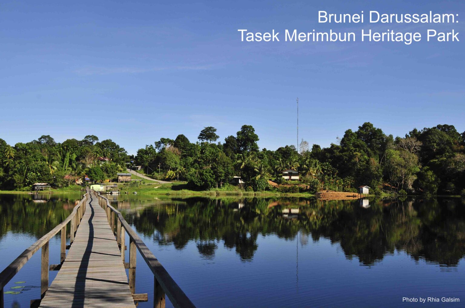Young ASEAN Storytellers - ASEAN Centre for Biodiversity