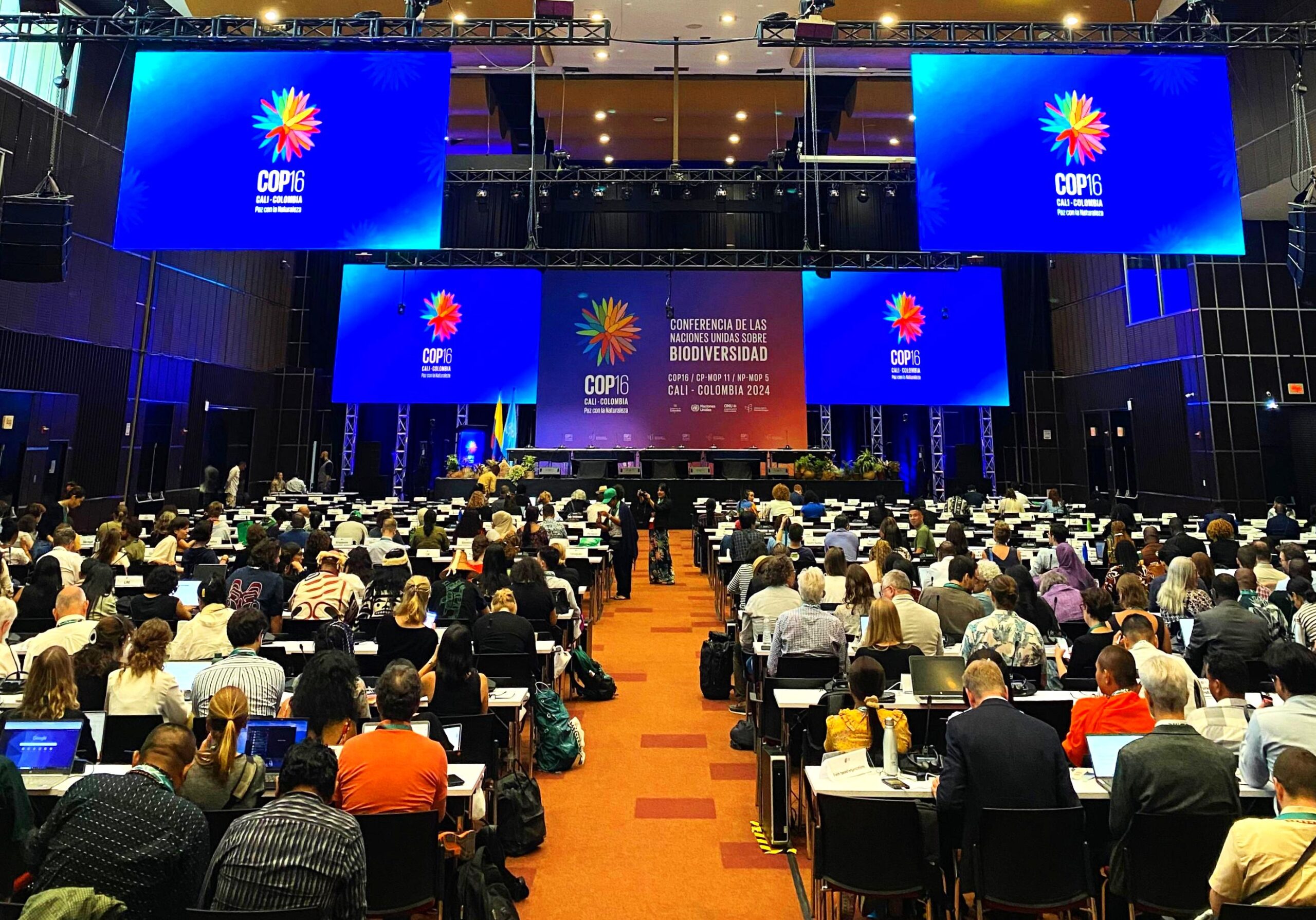 ASEAN member states join call to make peace with nature at COP 16 ...