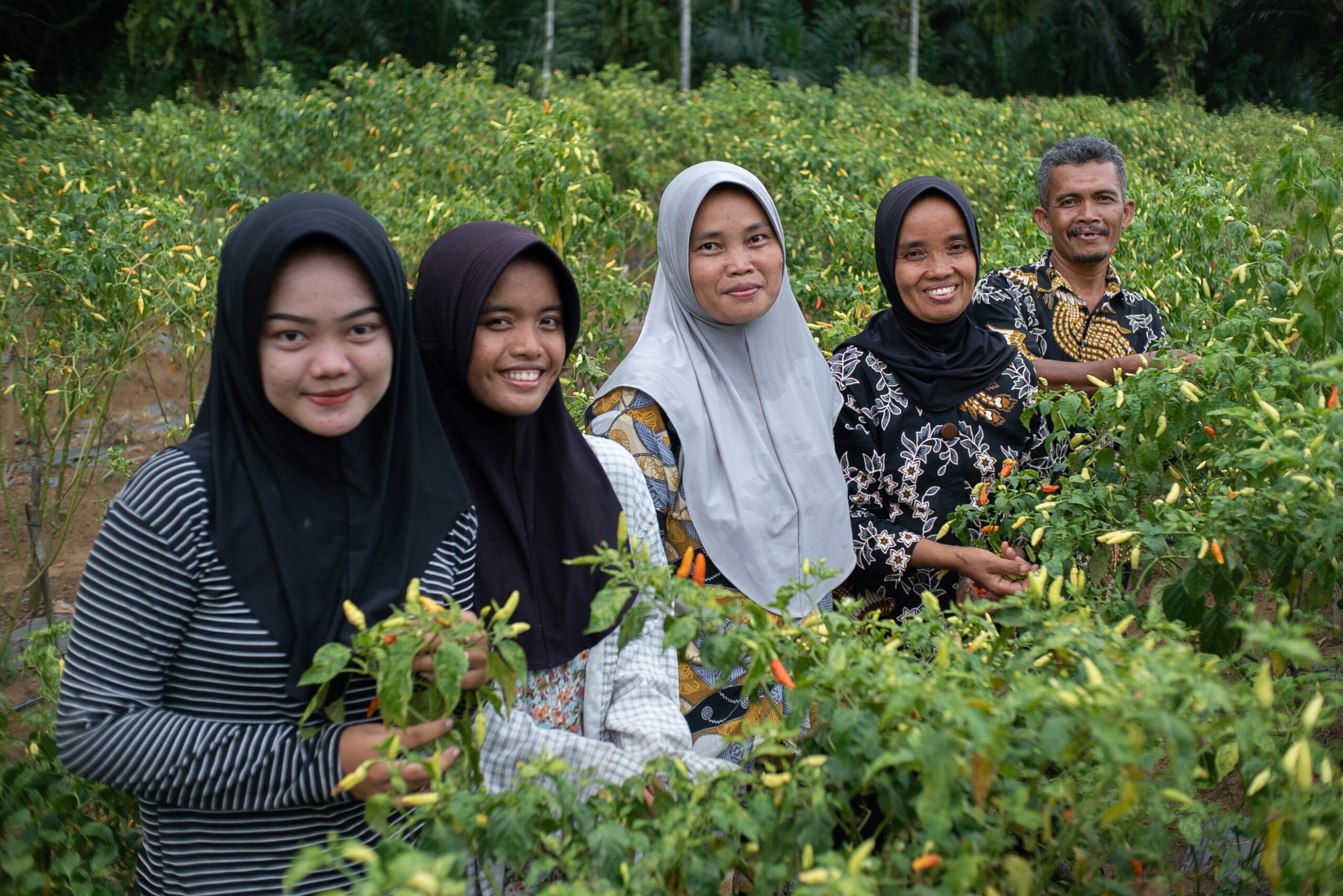 Promoting organic farming methods: The story of Supriyono - ASEAN ...