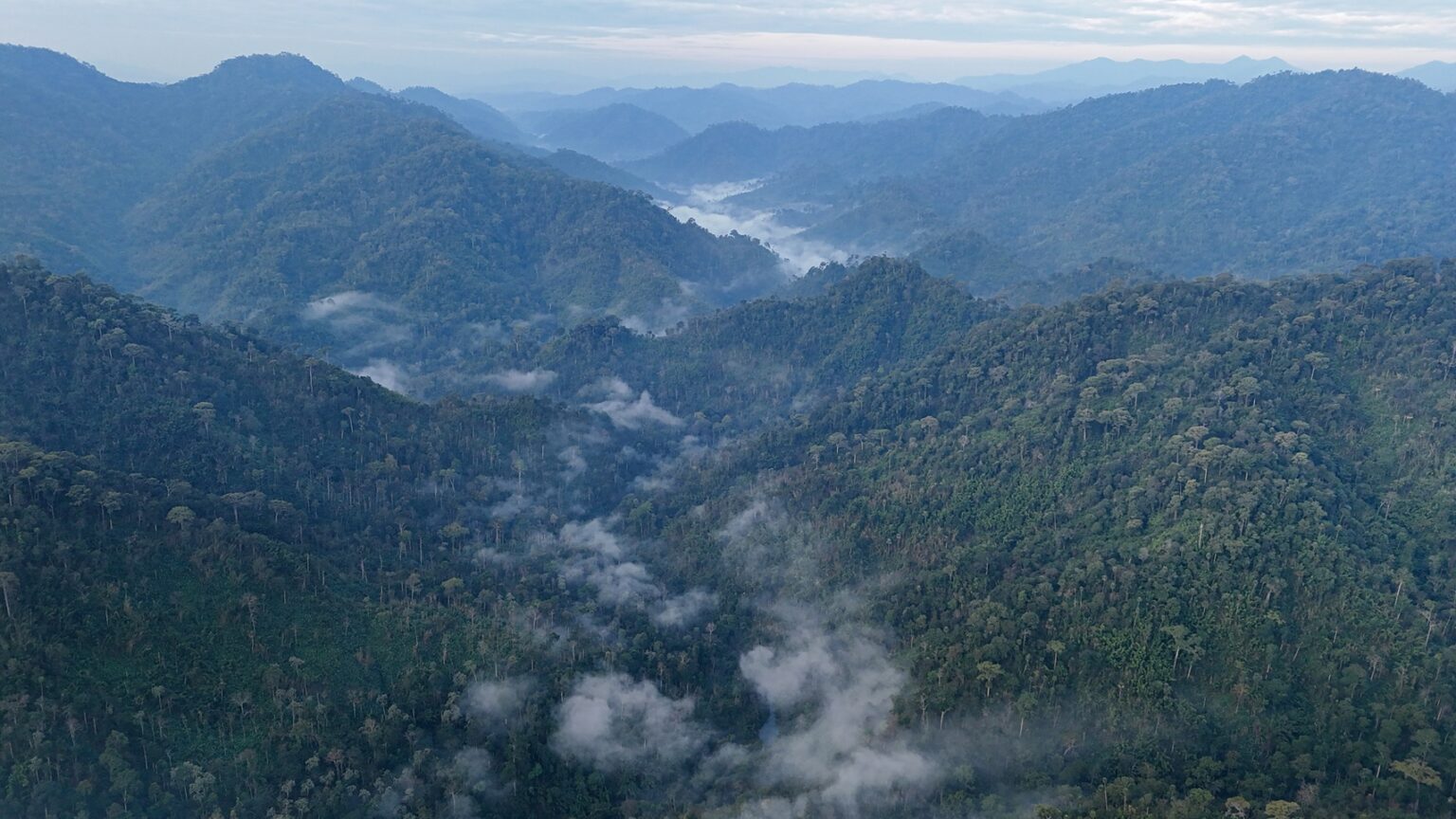 Mt. Kitanglad Range NaturaI Park - ASEAN Centre for Biodiversity