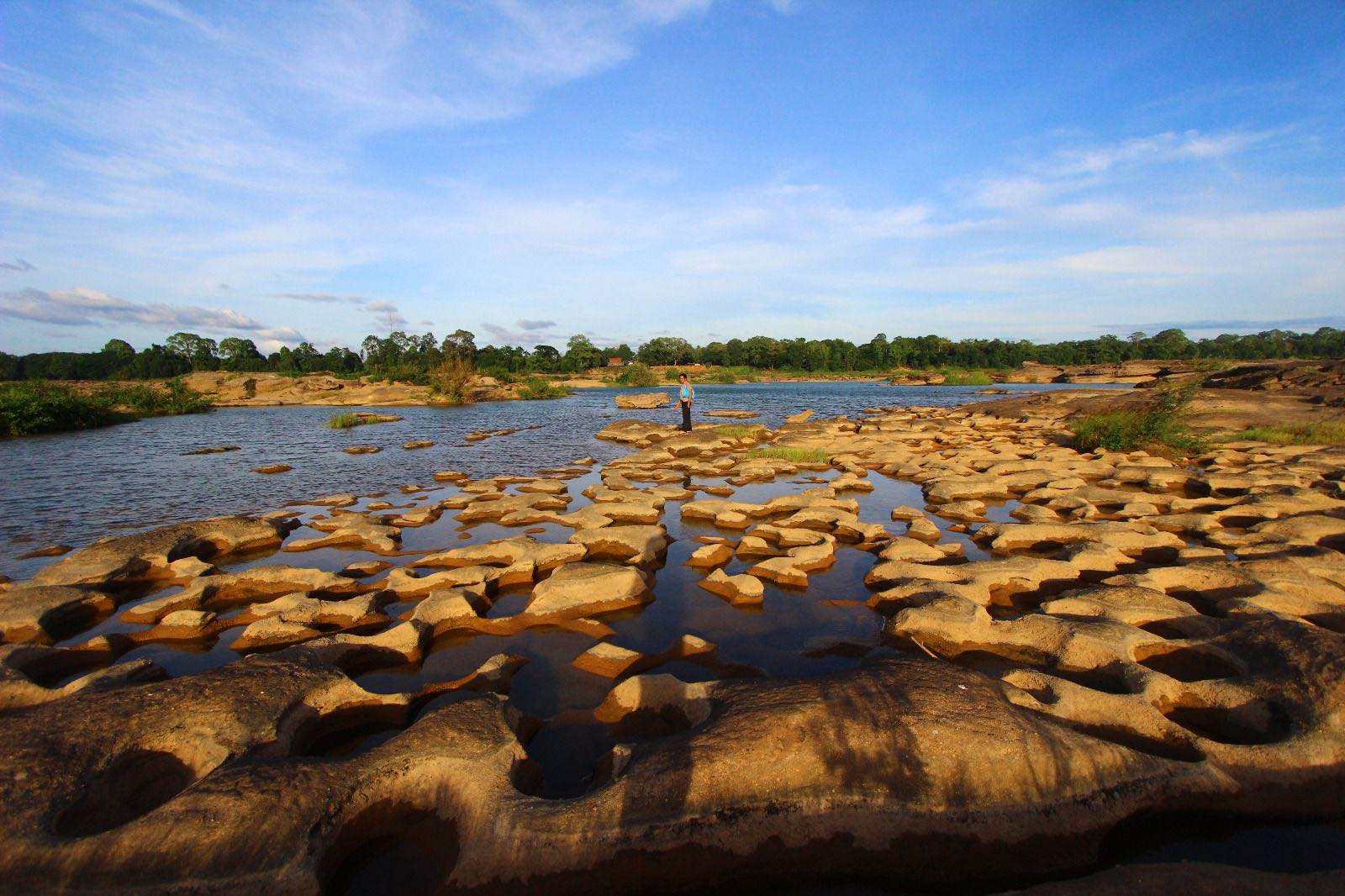 Tasek Merimbun Heritage Park - ASEAN Centre for Biodiversity