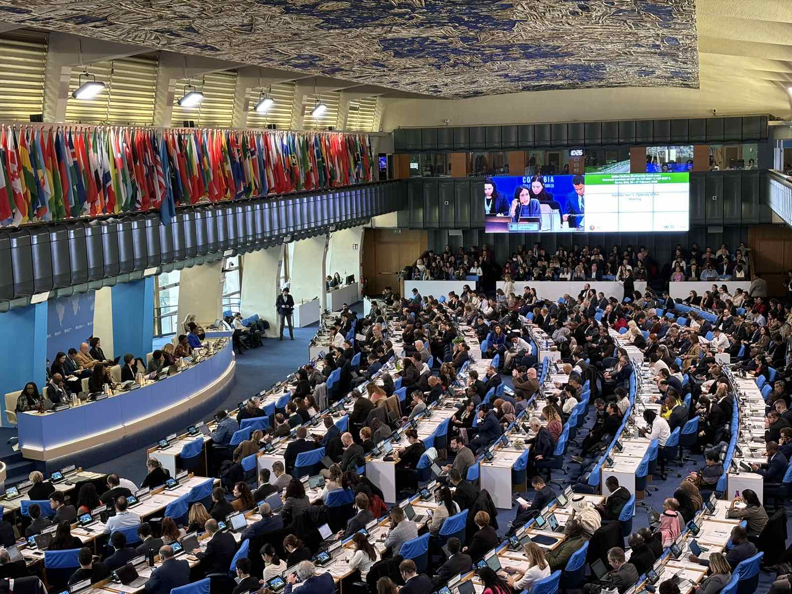 The Cali Fund launches in the margins of the resumed session of COP16 ...