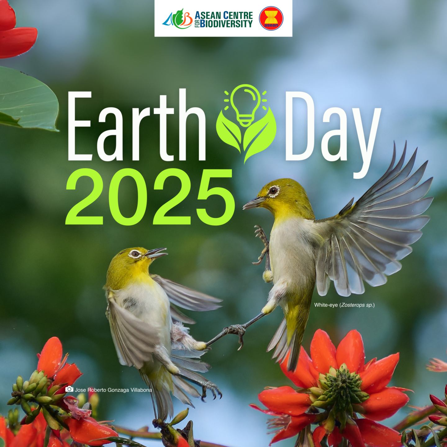 Advancing ASEAN: Integrating nature-based solutions for climate and ...